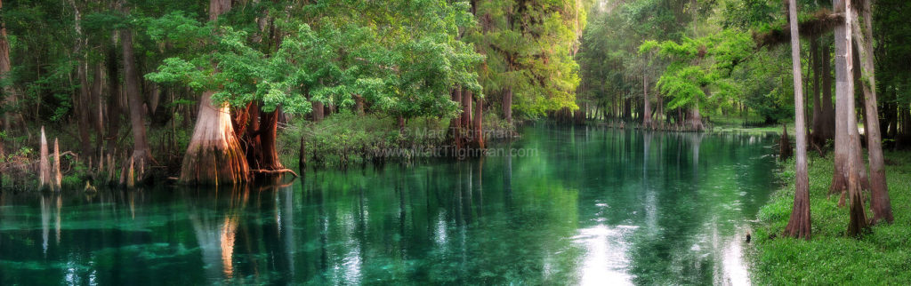 Ichetucknee Springs at Dawn - Matt Tilghman Photography