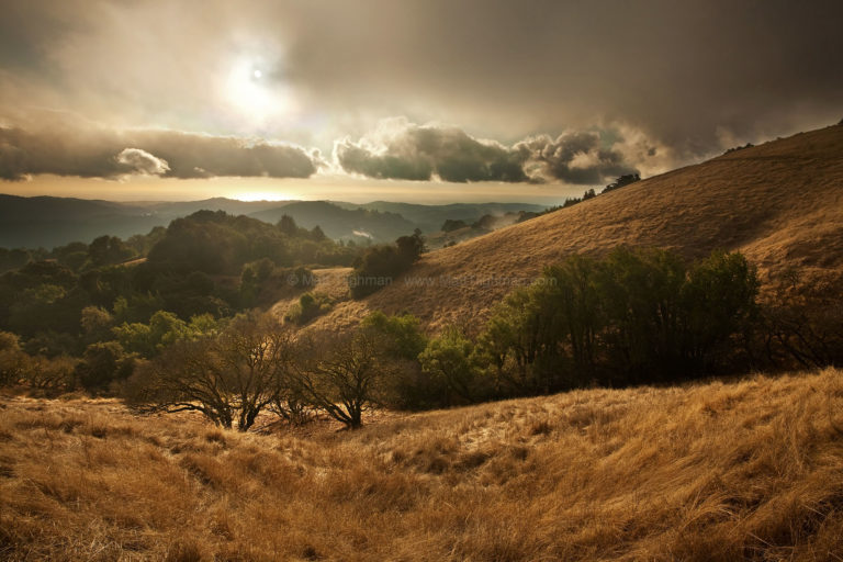 Season's First Rain at Russian Ridge - Matt Tilghman Photography