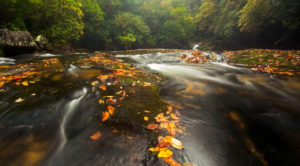 Corkscrew Falls on Autumn Morning - Matt Tilghman Photography