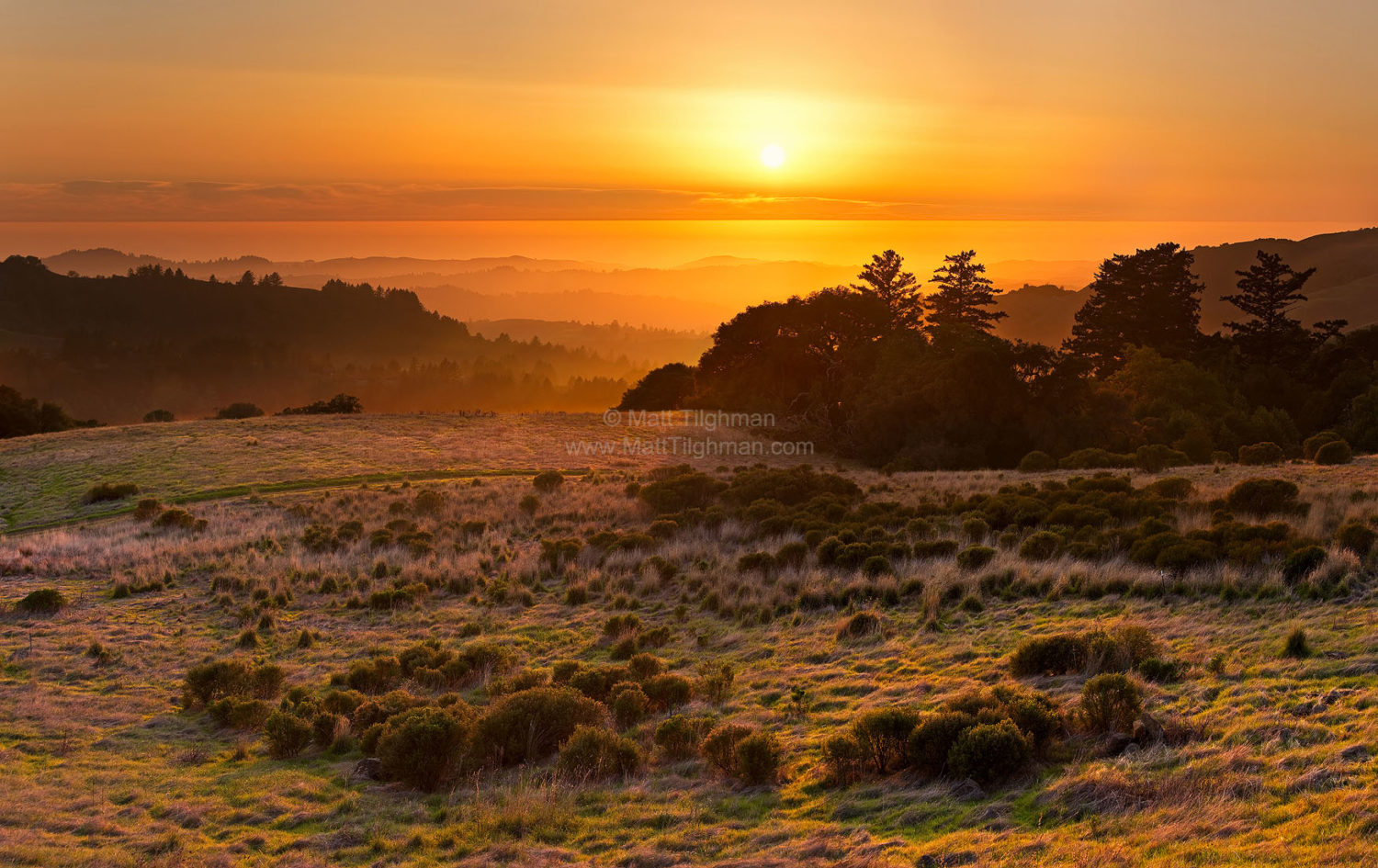 Easy Living - Russian Ridge California - Matt Tilghman Photography
